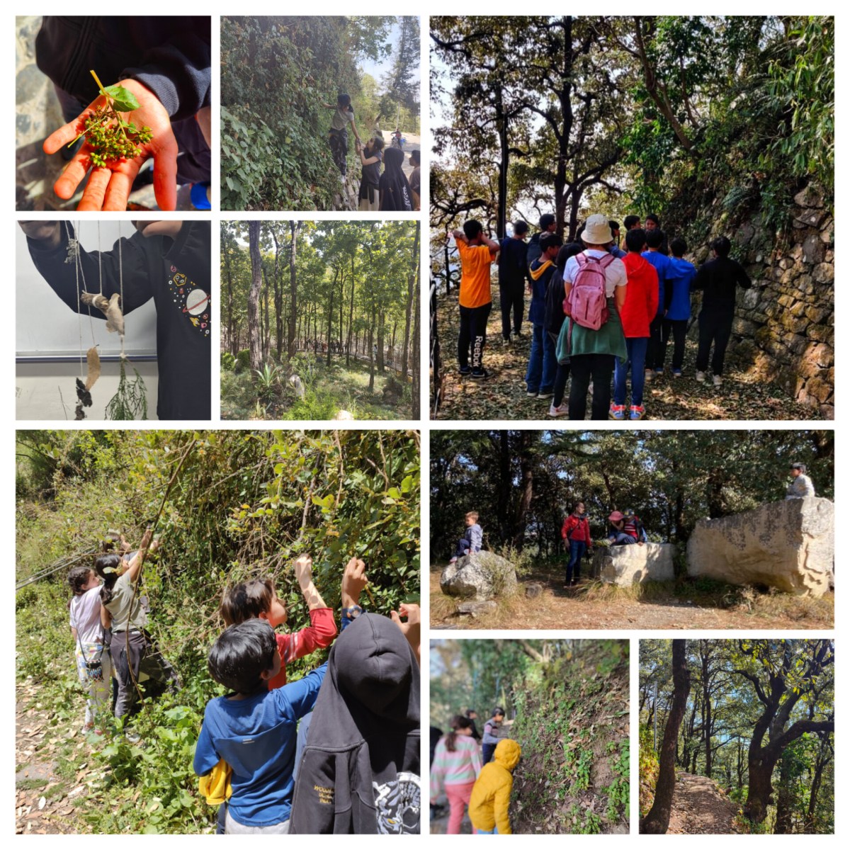 “Nature’s story: Discovering the seasons through Phenology Walks with ...